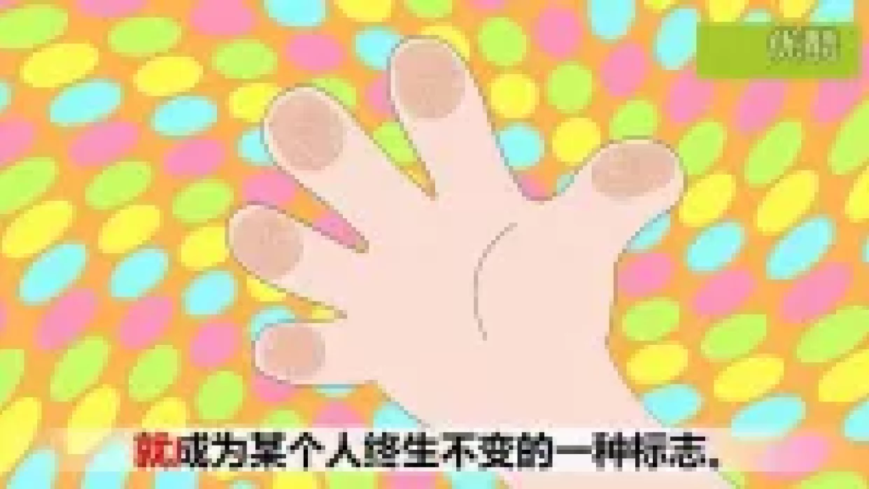 十万个为什么《为什么每个人的指纹不一样》儿童动画识字故事