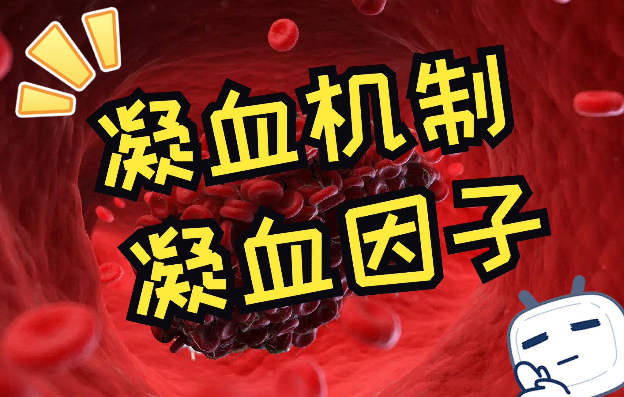 凝血机制,凝血因子 -娃娃也能看得懂,奶奶也能记得住