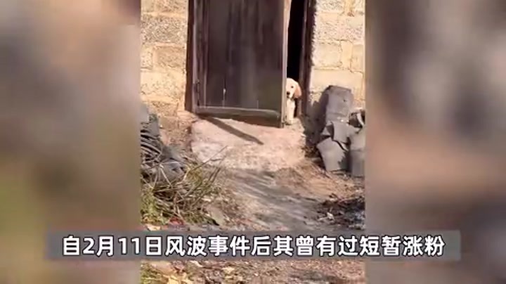 瑶一瑶小肉包陷摆拍风波后,停更一月掉粉12万!一年广告收入或超1650...