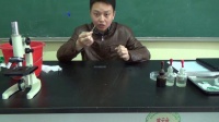 用显微镜观察人的口腔上皮细胞_clip1