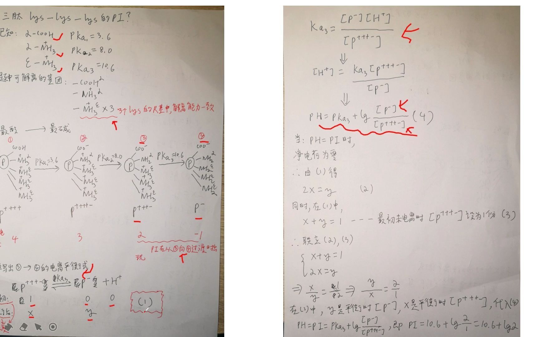 三肽(Lys-Lys-Lys)PI的计算