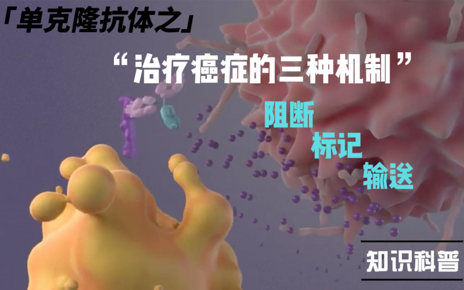 单克隆抗体治疗癌症的三种机制