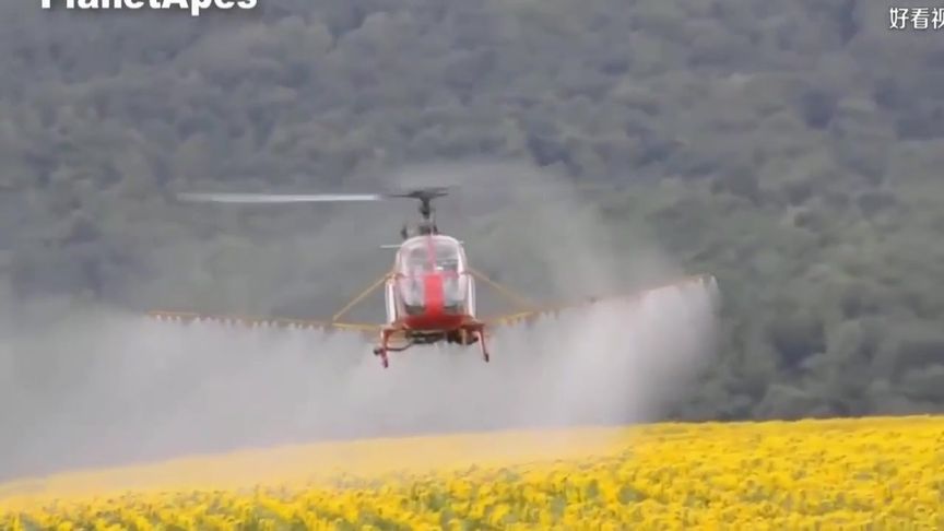 这工作效率是人工的百倍!