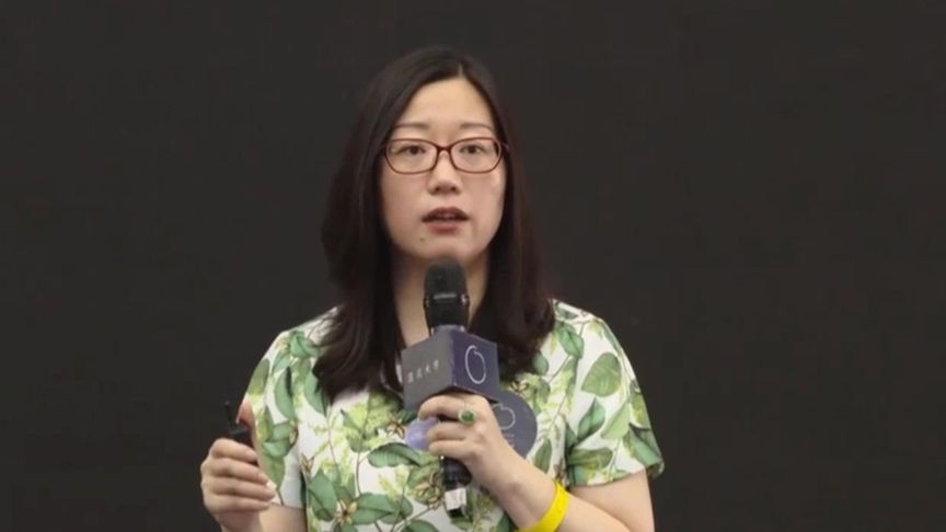 阿里巴巴:团队打造的经验。企业管理大咖张丽俊真情详解,第一集
