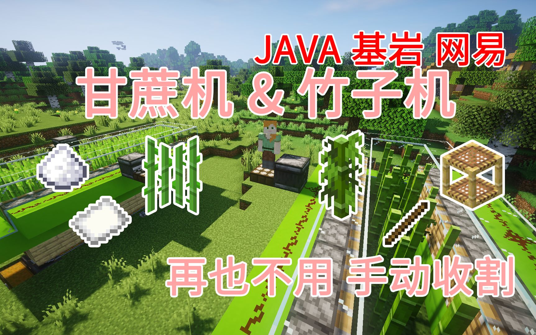 【全自动竹子机&甘蔗机】节节高 JAVA基岩通用 Minecraft我的世界...