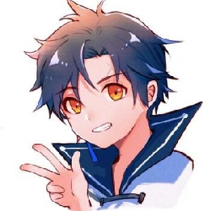 星曜Hoxi 