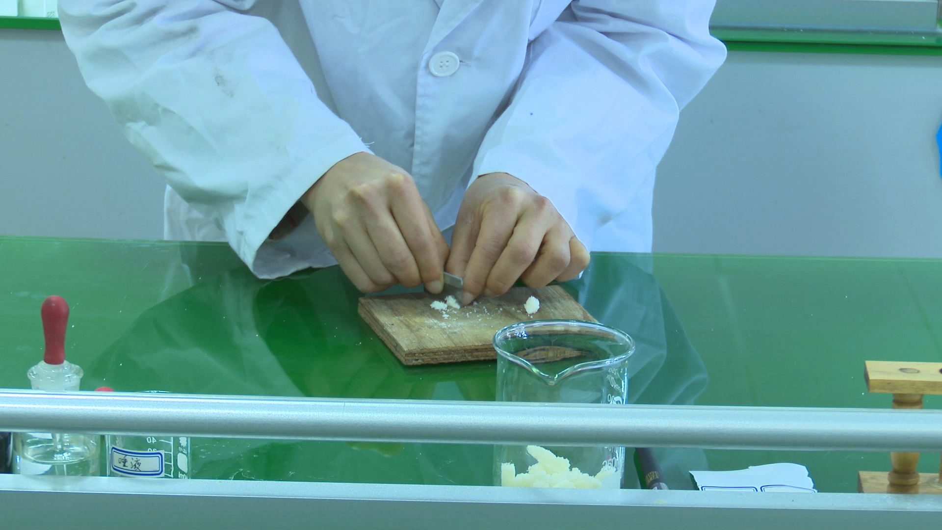 探究馒头在口腔中的变化