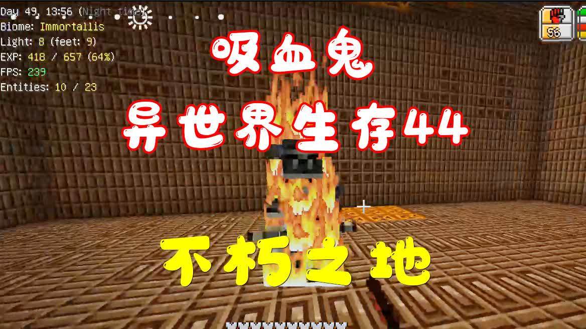 【我的世界吸血鬼异世界生存44】完成不朽之地危险重重的试炼