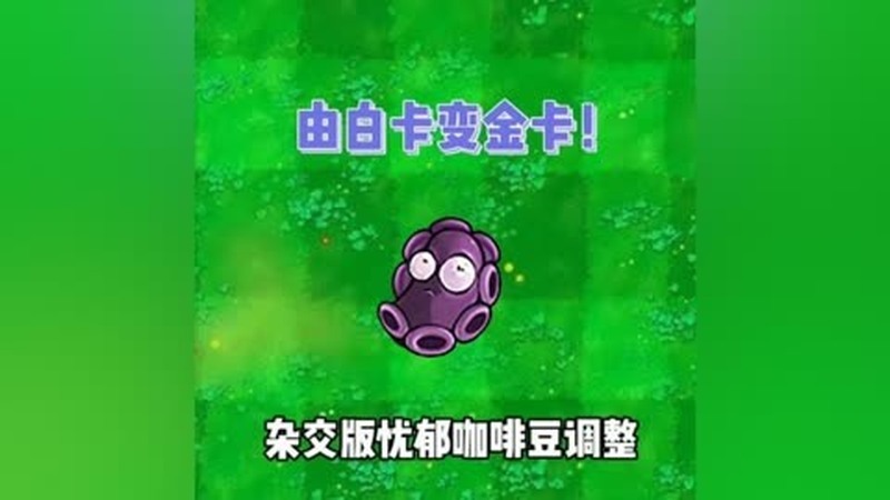 5.杂交版忧郁咖啡豆调整