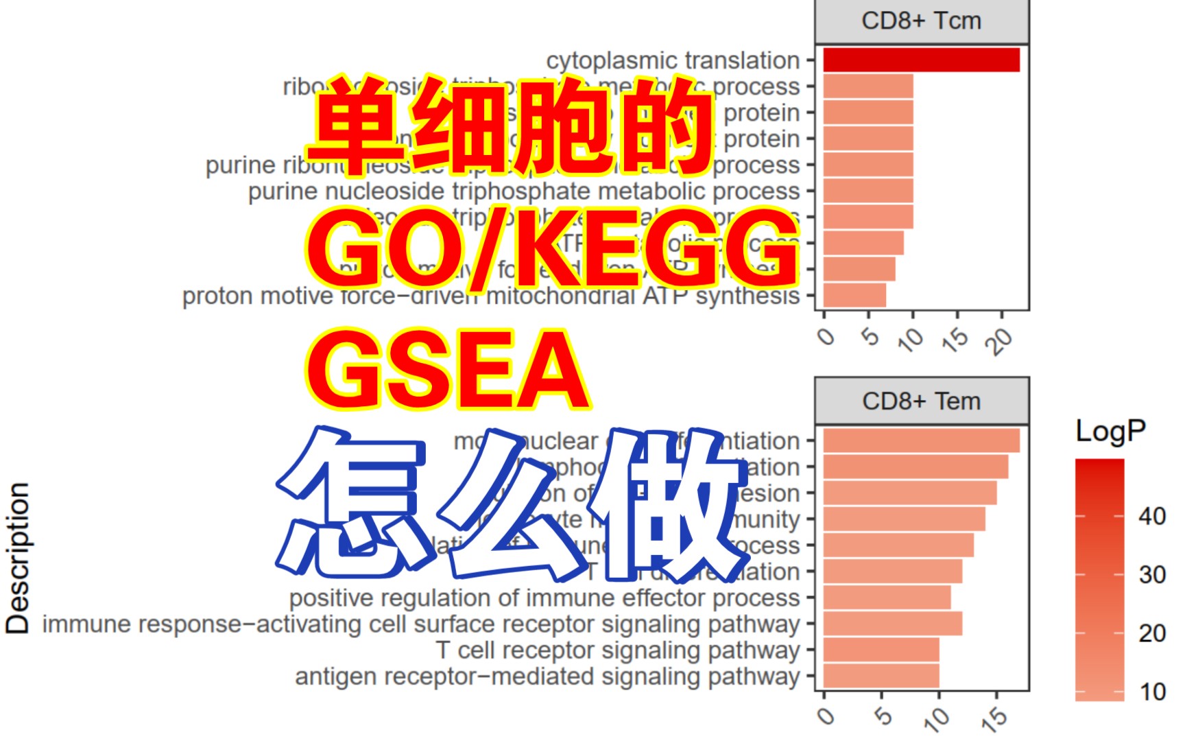 【医学生的单细胞指南】5.差异基因富集分析