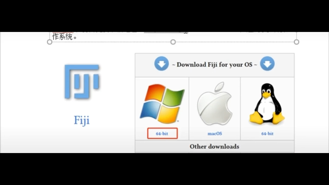 ImageJ image j软件安装包和教程教学 灰度分析/荧光计数