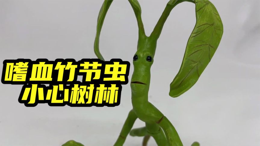 模型制作:小心森林里的竹节虫,会被吸成干尸?