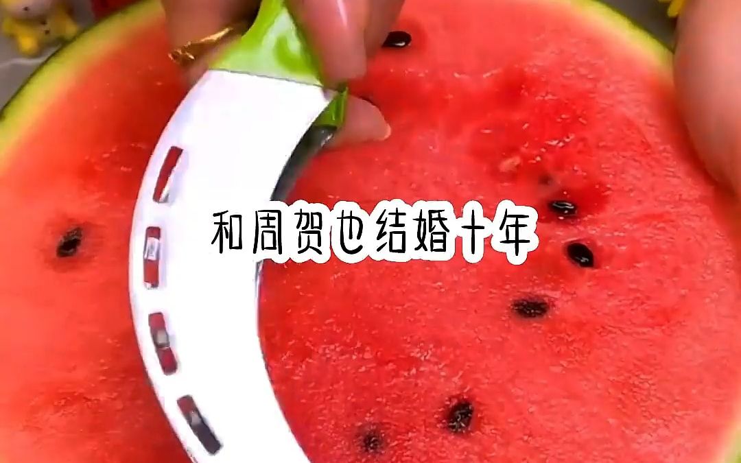 和周贺也结婚十年,我们一直是各玩各的。 他和女秘书相亲相爱,我的小...