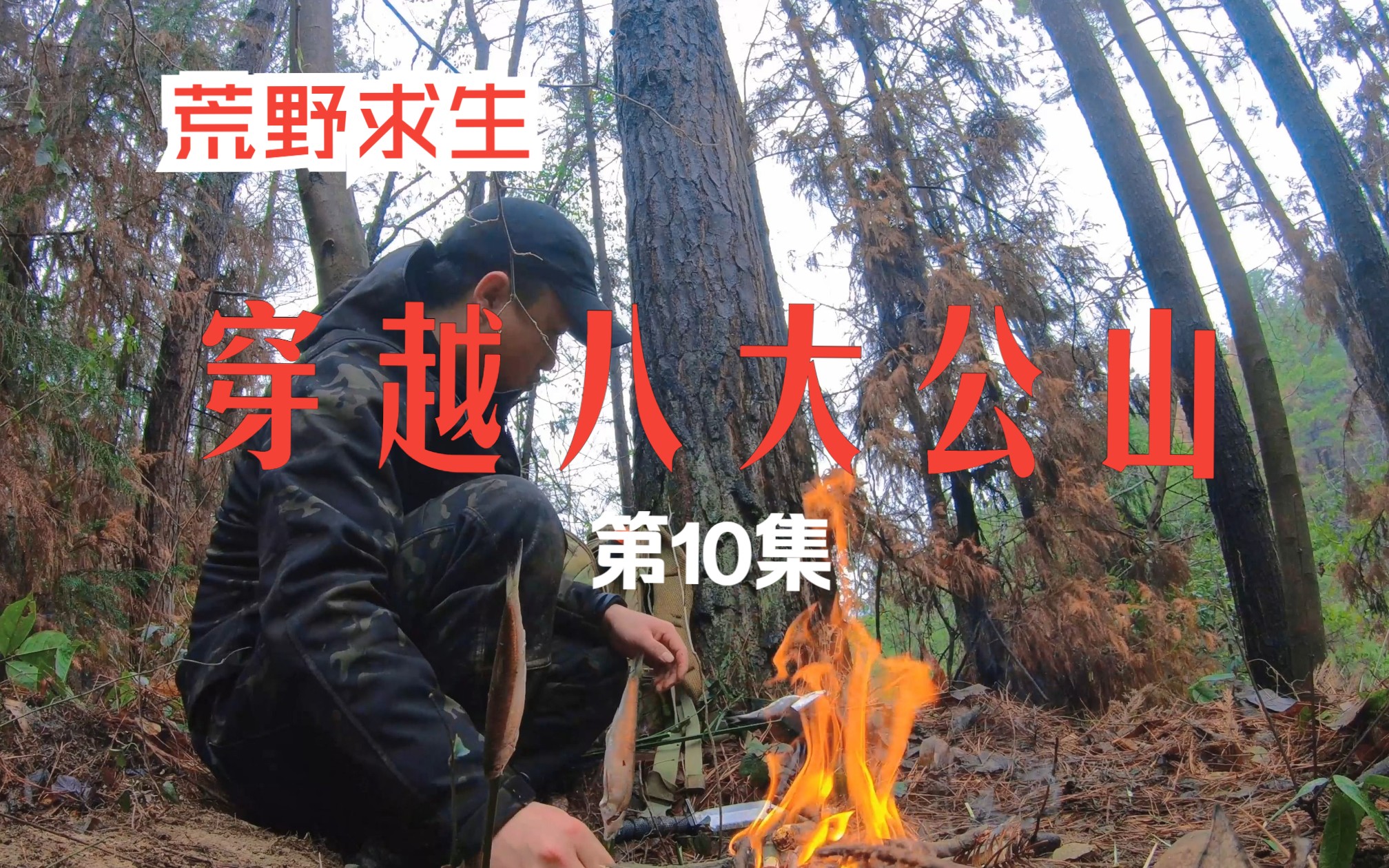 胡三浪荒野求生,穿瀑沿溪麻柳醉鱼,生火烤鱼走出森林