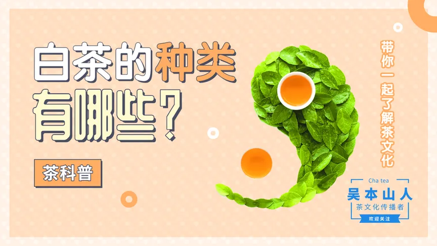 茶科普 | 白茶的种类有哪些?一起来看看吧