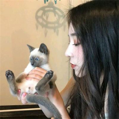 小乔秒了个兵 