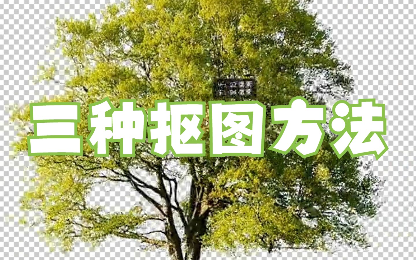 【PS小技巧】 你还在用ps魔棒抠图吗?这三种抠图的方法get起来吧!