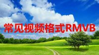 常见视频格式RMVB
