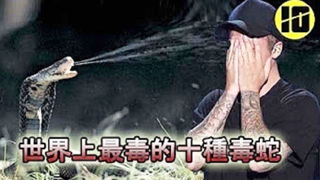 世界上最毒的十种毒蛇,眼镜蛇竟然仅排名第六