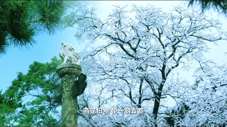 欢迎报考辽宁税务