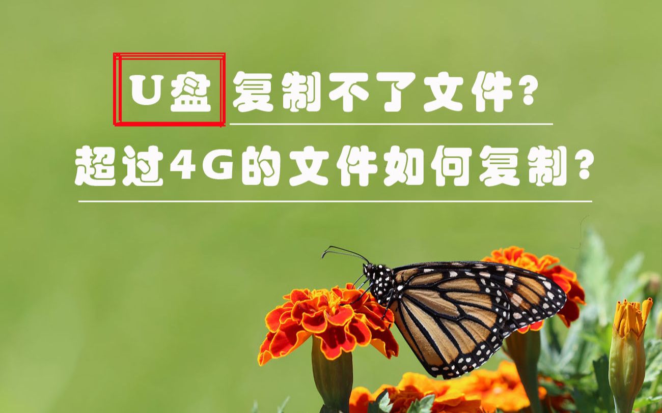U盘复制不了文件怎么办,超过4G的文件如何复制