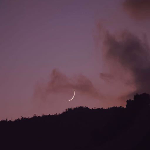 烤黑糖啵啵牛乳 