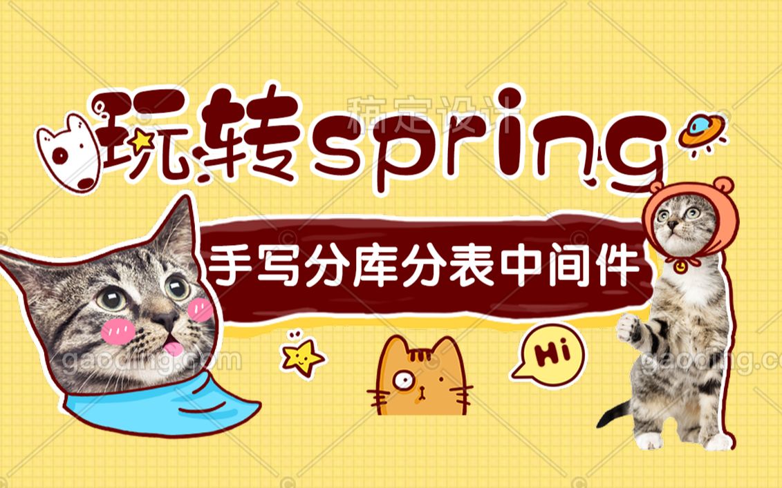 2019最新图灵司马老师带你玩转spring手写分库分表中间件~.数据库...