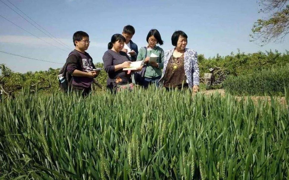 支农研学班||三农问题历史及现状