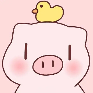 春珠珠鸭 