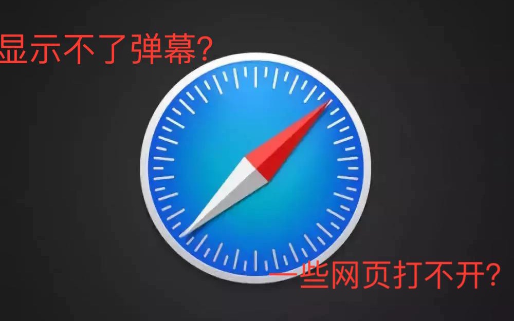 Safari浏览器,加载不出弹幕,个人中心打不开,打不开网页。