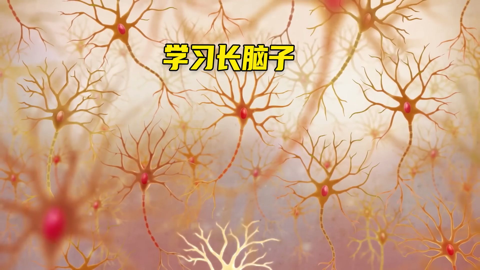 通过学习长脑子,神经元的生长过程 #人体细胞微观世界科普