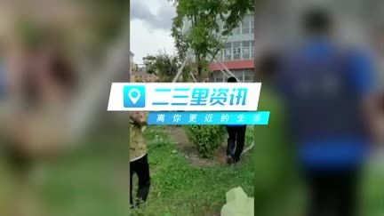 长春亚泰超市前城管与商贩发生纠纷,执法记录仪视频曝光!