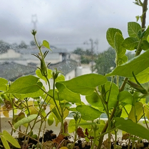 物理实验小课堂 