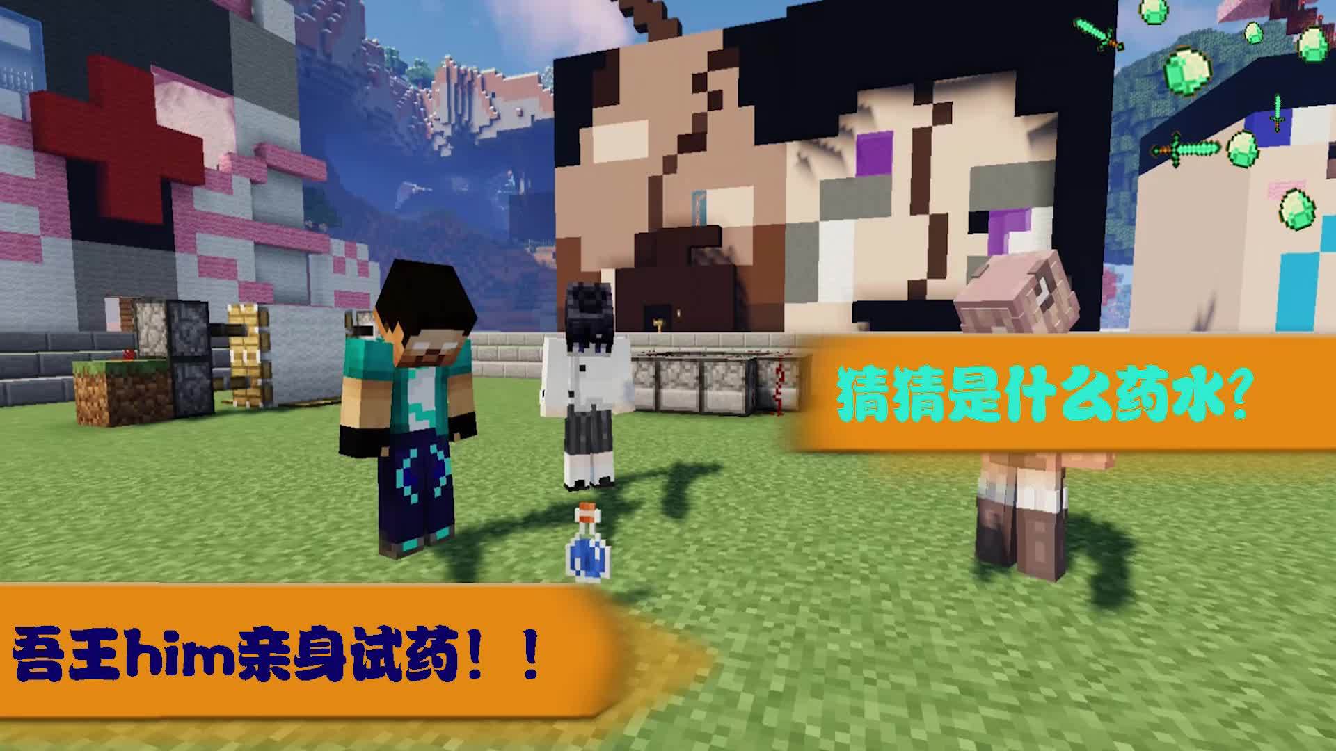 我的世界视频: 这次视频,我可是吃亏了