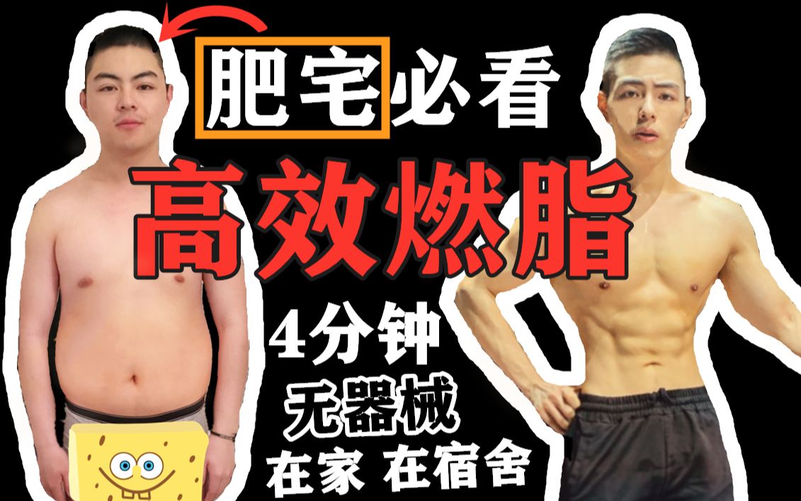 【4分钟高效燃脂】快速瘦肚子瘦全身 | 无器械 (男女通用)