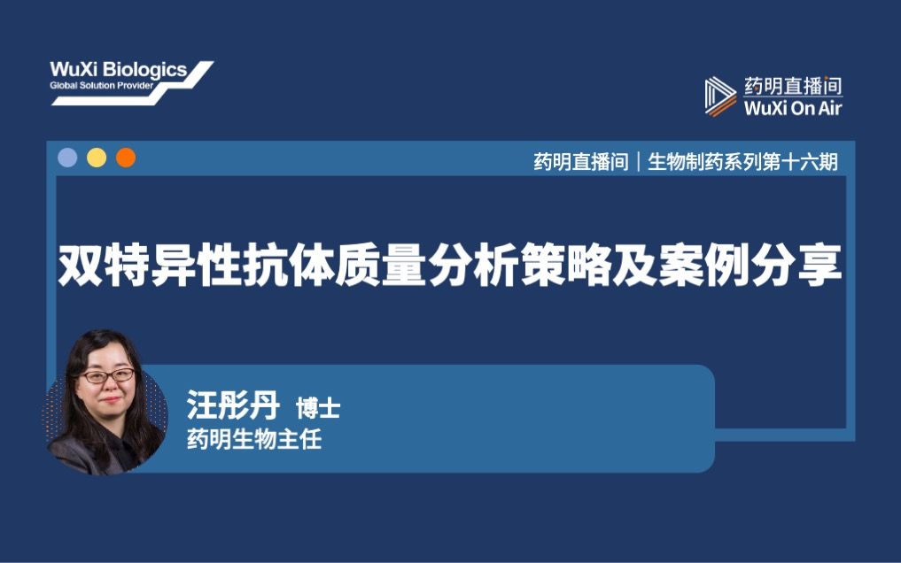 生物制药系列(十六):双特异性抗体质量分析策略及案例分享