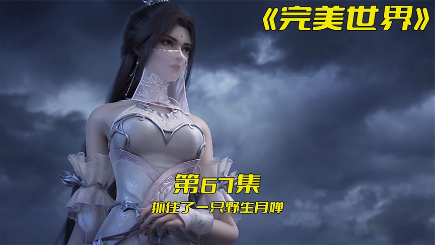 《完美世界》第67集:抓住了一只野生月婵