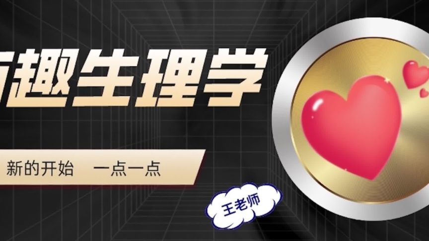 有趣生理学 第四章 血液循环 血管生理1#河南 #河南专升本