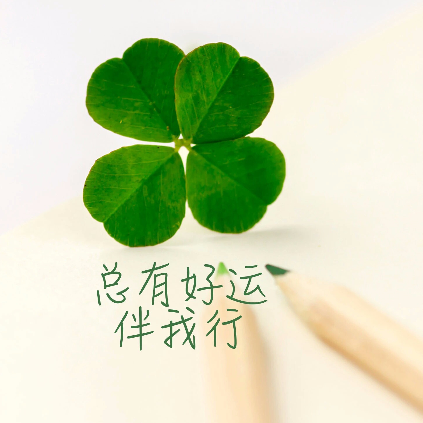 开心超人栋 