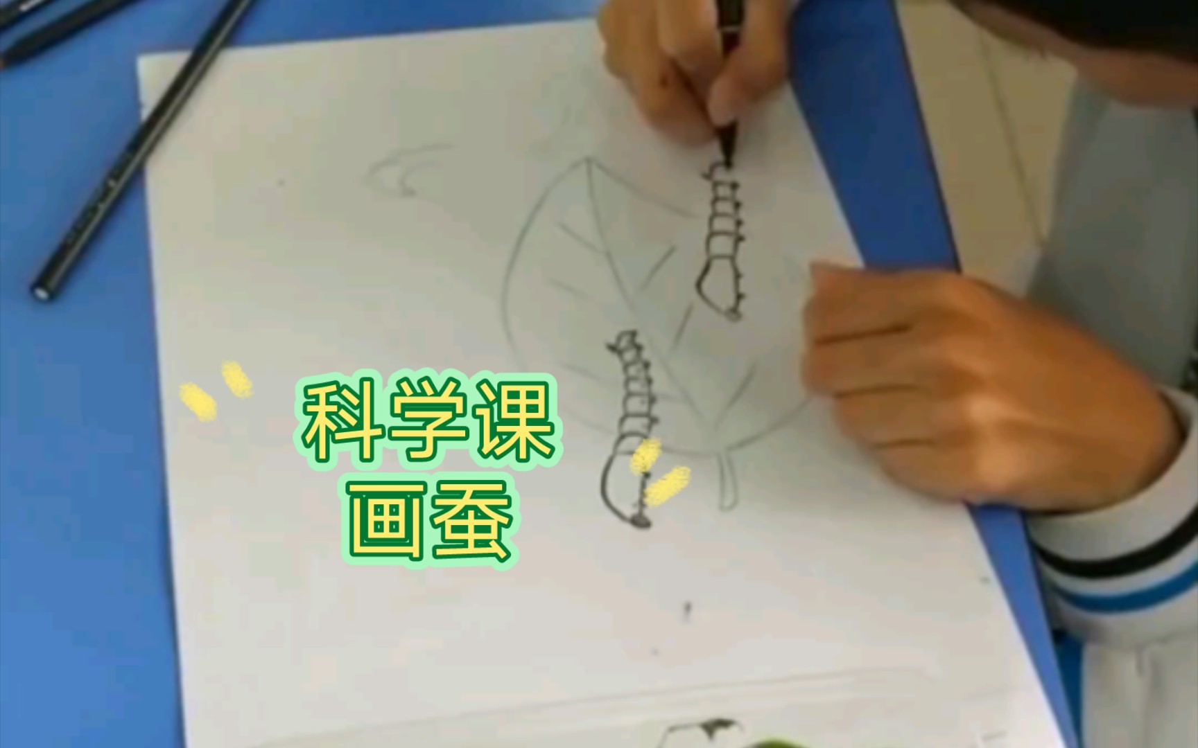 科学课:有趣的蚕宝宝