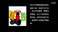 王海崧的微课:价格变动对消费的影响
