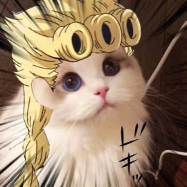 Jerry-Shang 
