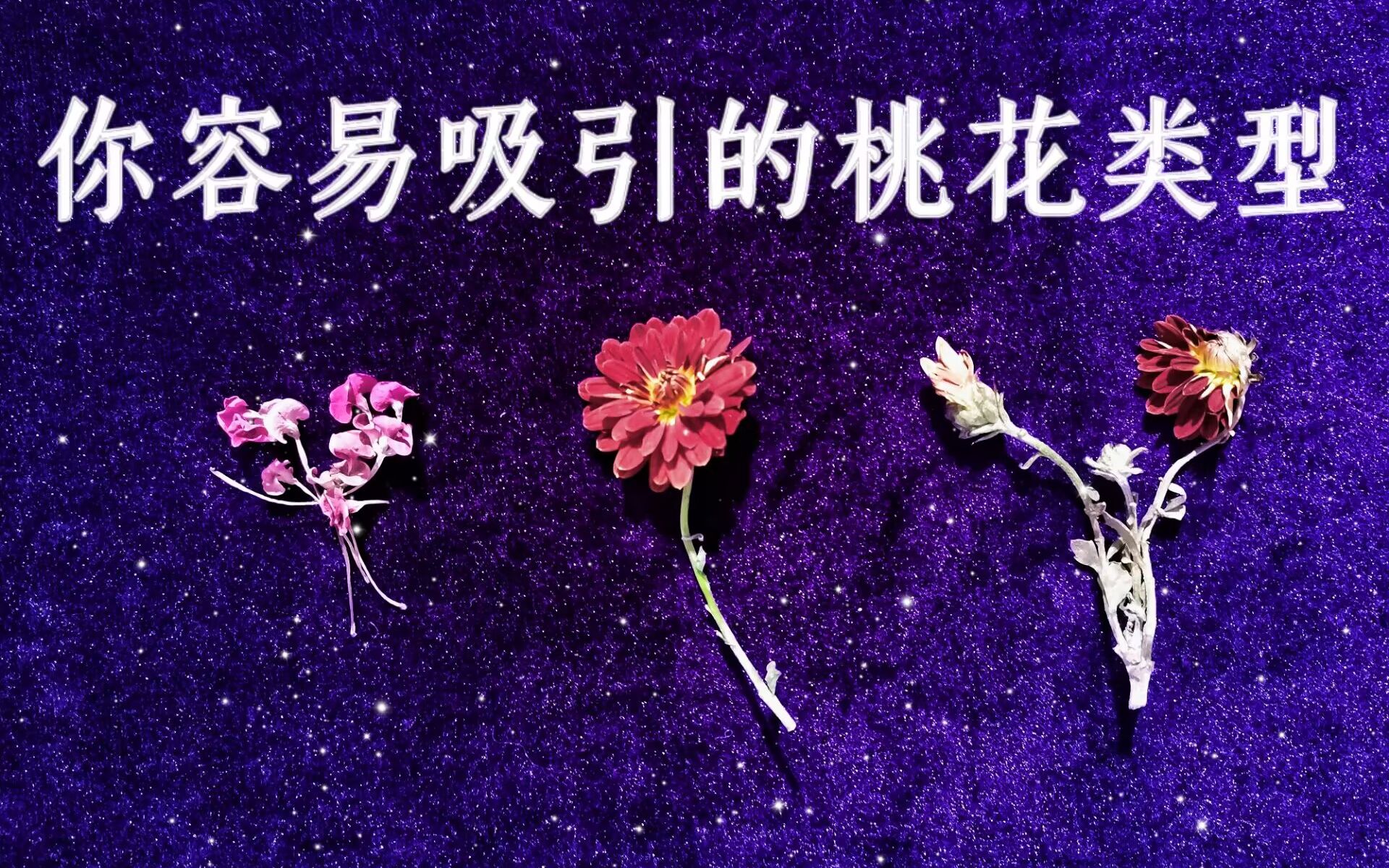 你最容易吸引的桃花类型?清冷型/温柔型/海王型/热烈型/疏离型?