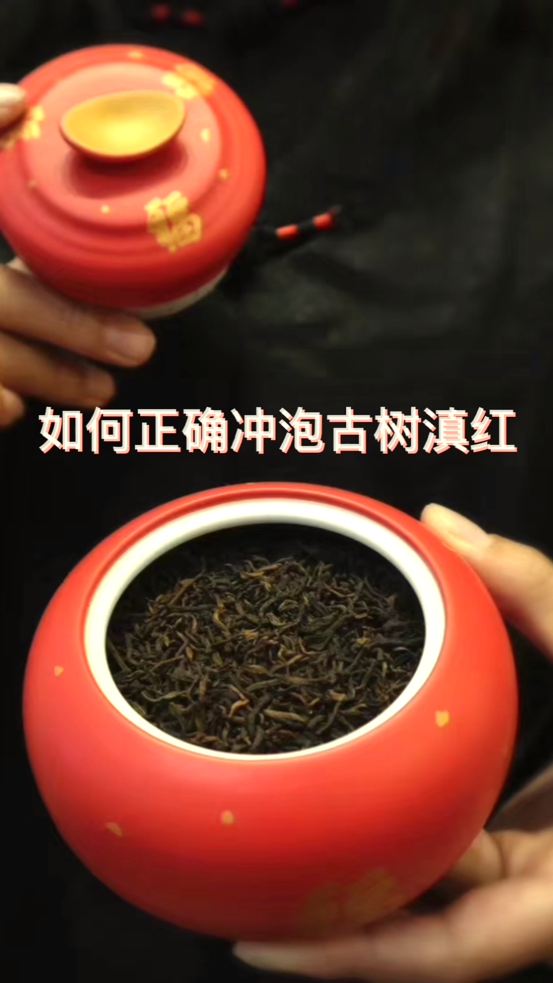 如何正确冲泡古树#滇红茶#
