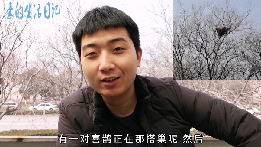 头条号双标题这个功能今天取消了,不知后续会怎么样,会不会更好