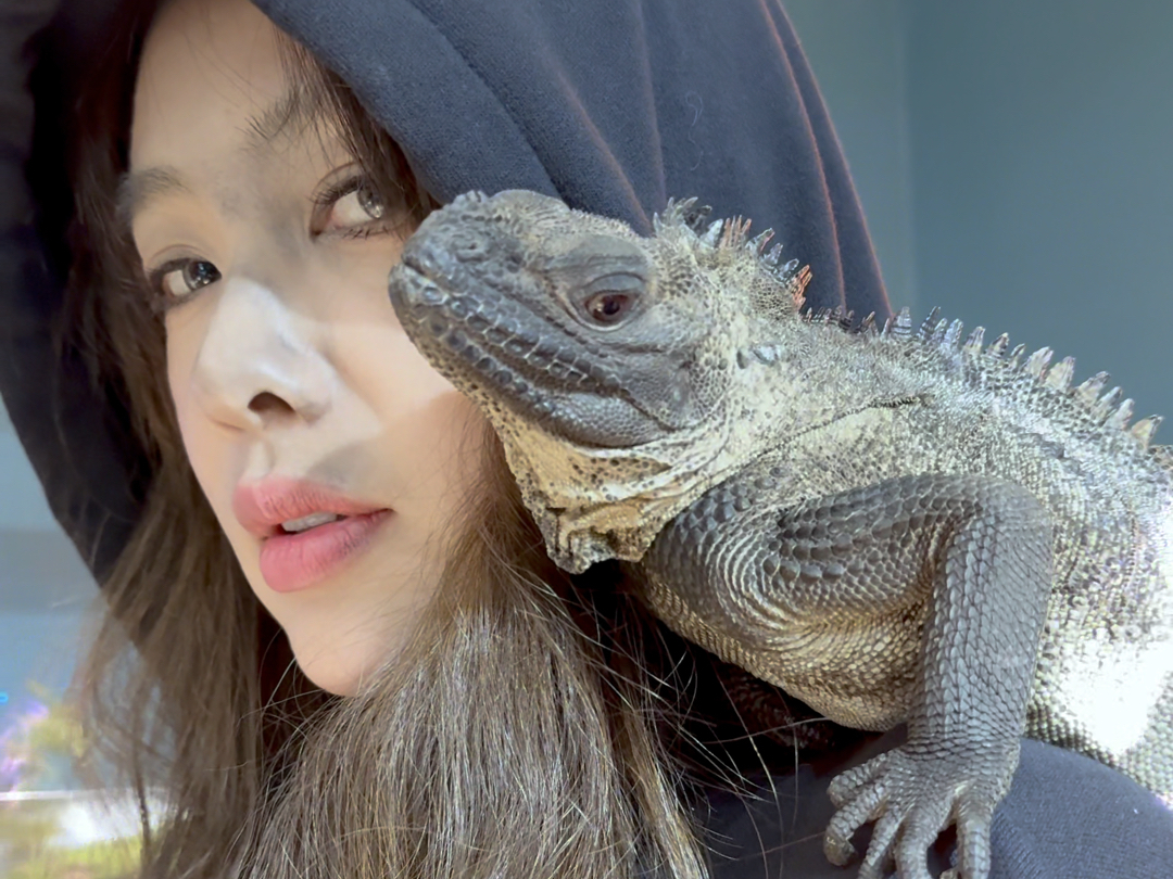 机会都是自己争取的~终于体会到在自家雨林缸里路亚的感觉了