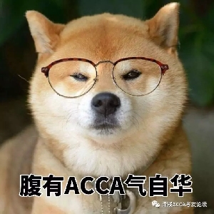 想的美的大小姐 