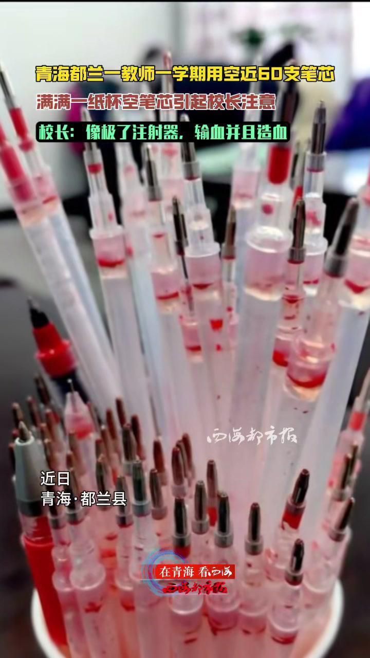 ...笔芯引起校长注意。校长:像极了注射器,输血并且造血#青海#都兰#教师
