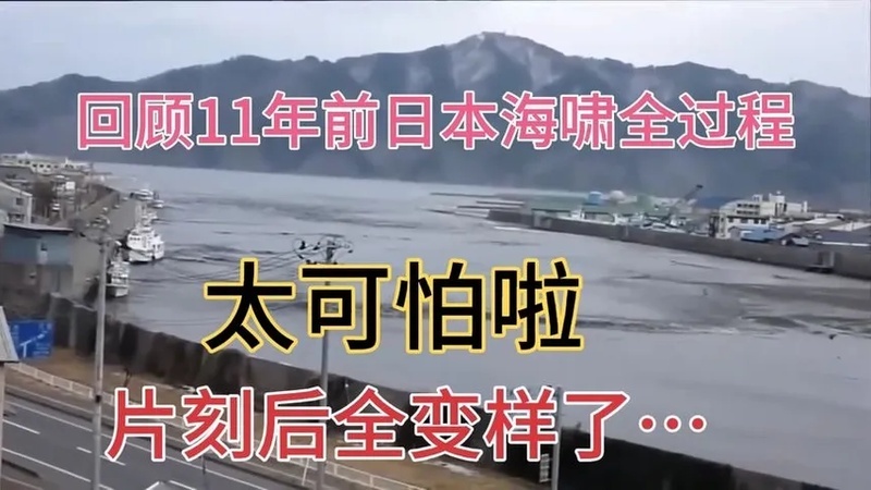 回顾11年日本海啸全程实录,哀嚎声一片。 天灾谁又能躲过…