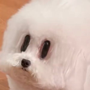 亿咩咩咩 